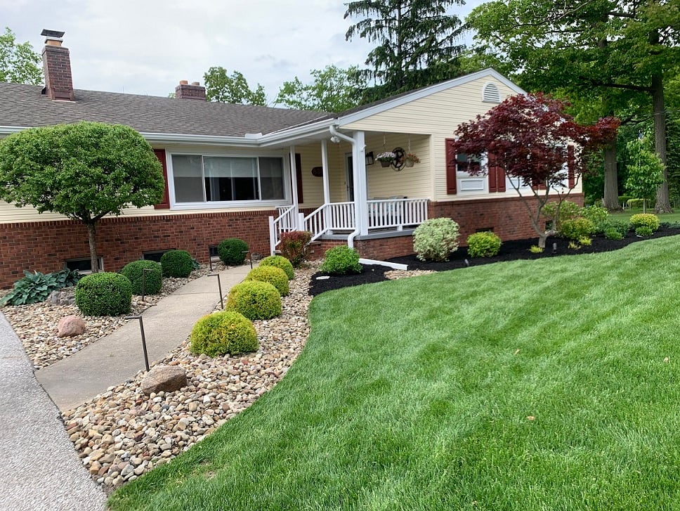 Softscape | Plant Install | Tree Install | New Plants | Rocscape