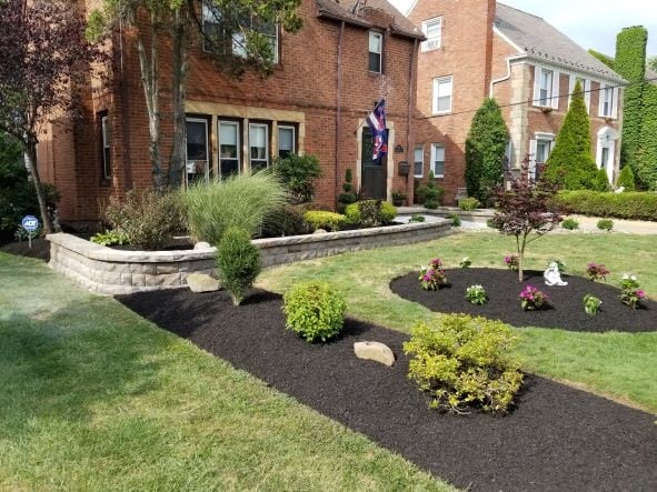 Softscape | Plant Install | Tree Install | New Plants | Rocscape