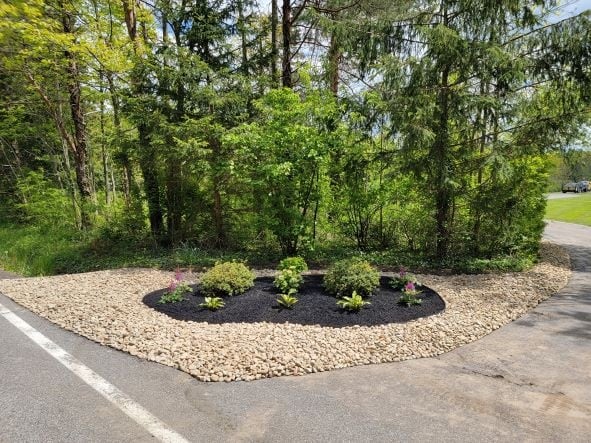 Softscape | Plant Install | Tree Install | New Plants | Rocscape